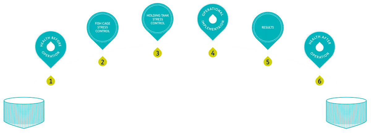 FLS Insight - Flatsetsund Engineering